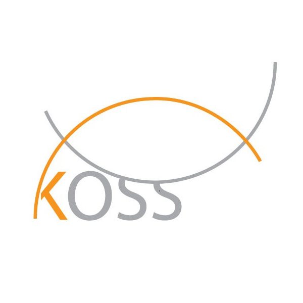 Het KOSS Bestuur - KOSS Saxion